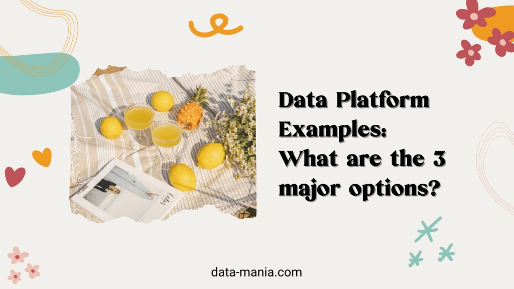 Data Platform Examples: What are the 3 major options?